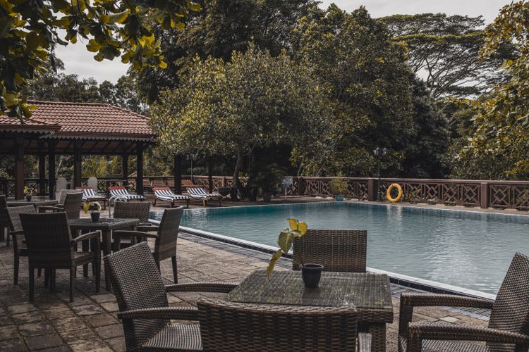 Tree of Life w Kandy - Zarezerwuj teraz najlepszą ofertę